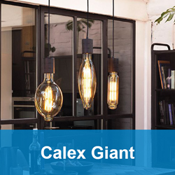 ⋙ Calex lampen kopen? | 123led.nl