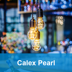 ⋙ Calex lampen kopen? | 123led.nl