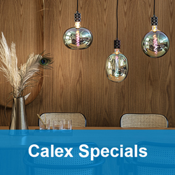 ⋙ Calex lampen kopen? | 123led.nl